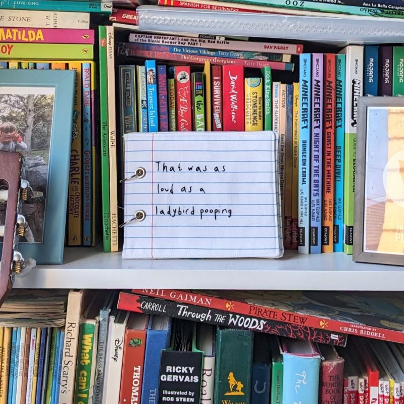 How to make a book with lined paper fabric - Little Light Stitchery